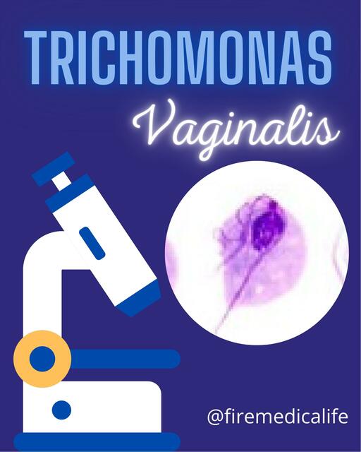 Trichomonas vaginalis | drs.inmunoglobulinas | uDocz