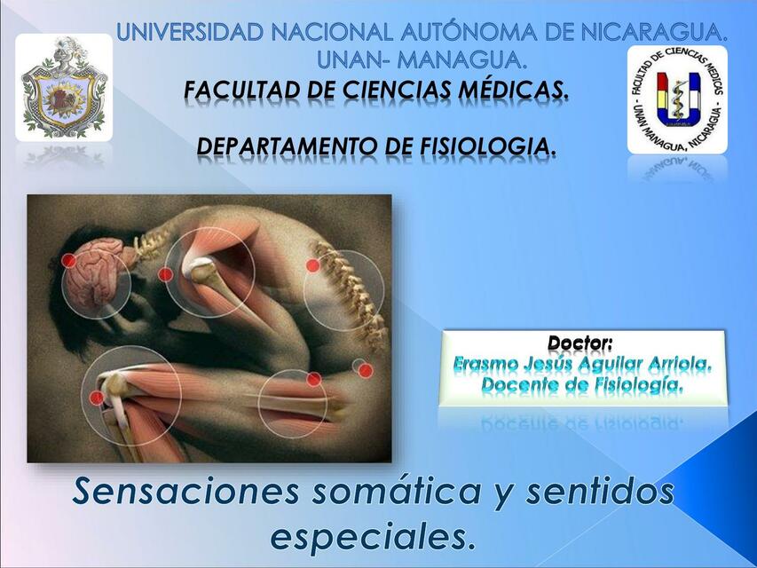 Sensaciones Somáticas y Sentidos Especiales | Juli | uDocz
