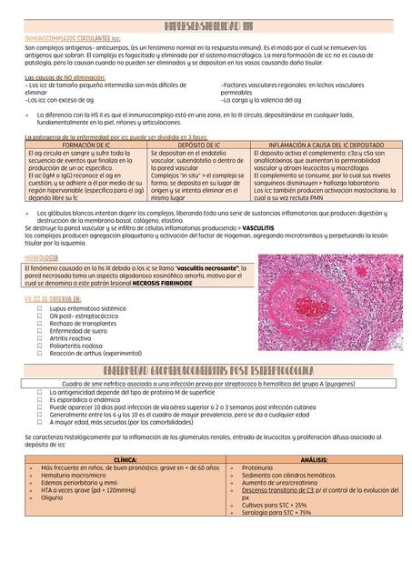 Hipersensibilidad tipo III | uDocz Hipersensibilidad tipo III | uDocz