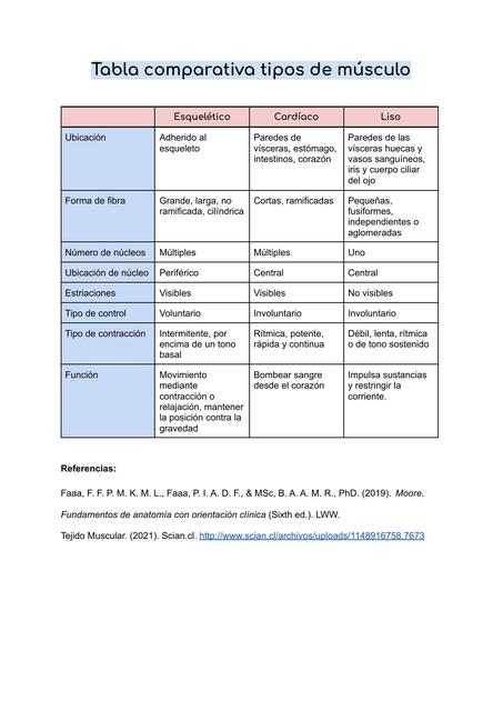 Tipos de Músculo | ANA MARTINEZ | uDocz