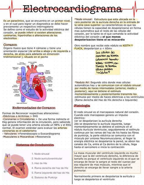 Guía de EKG básica | EVE.MEDS | uDocz
