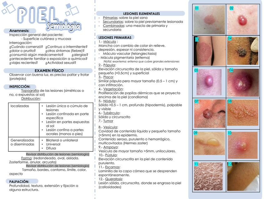 Semiología de la Piel | Jim Llontop | Jims Notes | uDocz