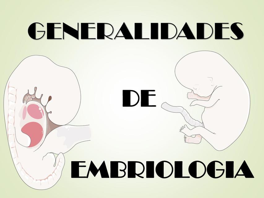 Introducción a la Embriología | Dafny Yomely Perez Heredia | uDocz