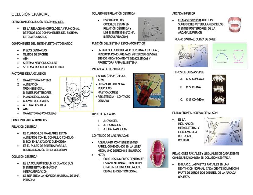 Guía de Oclusión | Karla Rincon | uDocz