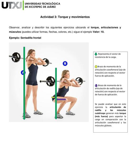 Actividad 3 Torque y Movimientos | bebis shus | uDocz