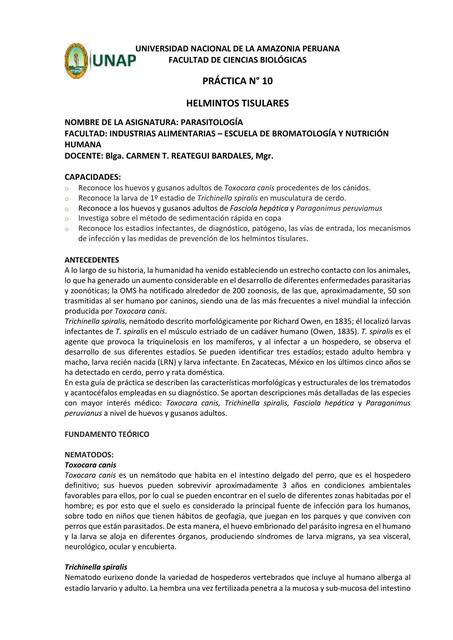 Helmintos Tisulares | drax been | uDocz