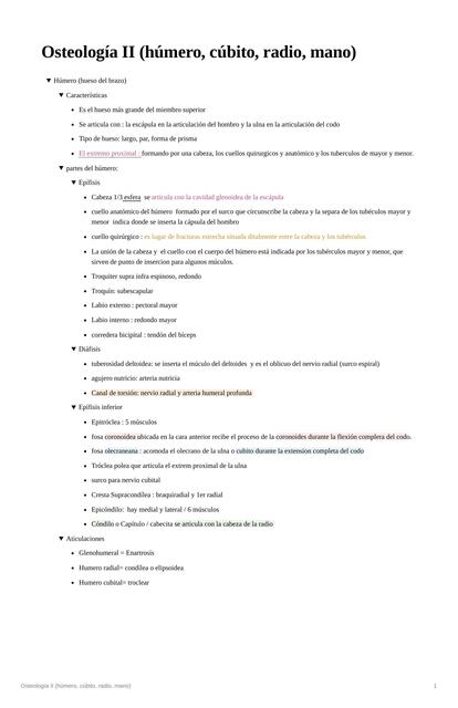 Osteología II Húmero, Cúbito, Radio, Mano | Joss Ramos | uDocz