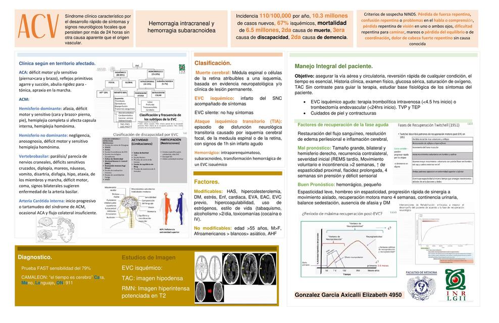 ACV | Axicalli Gonzalez | uDocz