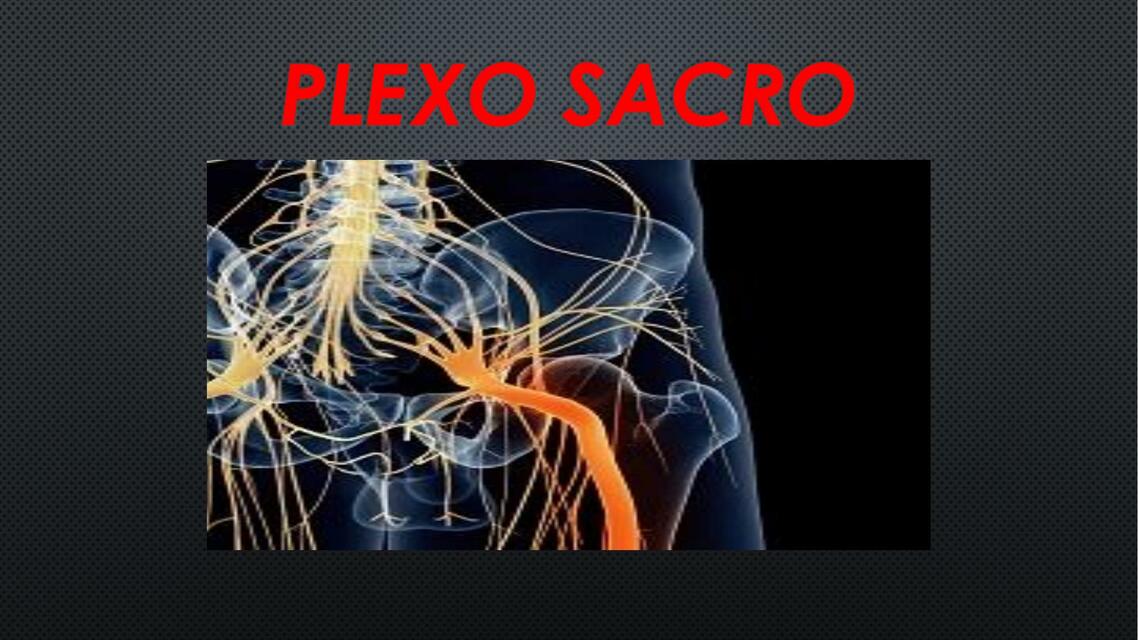 Plexo Sacro | Mr. Dr | uDocz