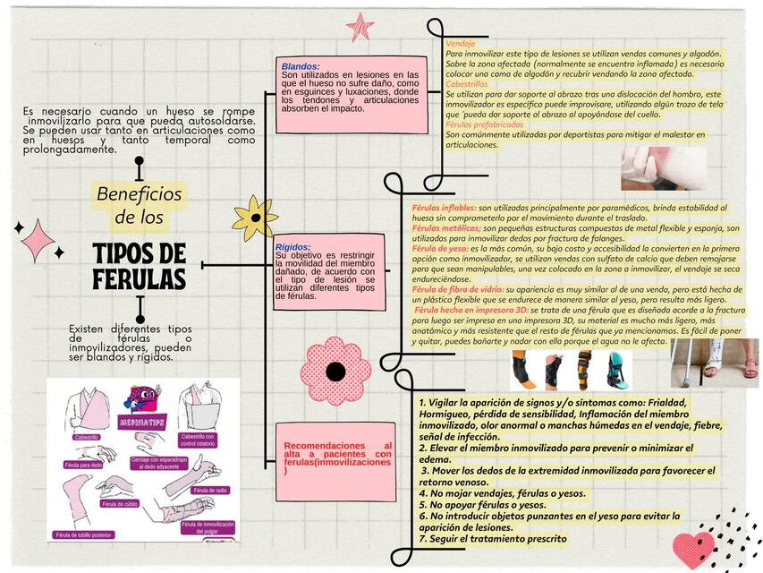 Tipos de Ferulas | GIANELLA HERRERA VENTURA | uDocz