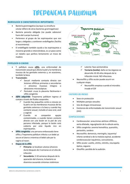 Treponema Pallidum. Patología, manifestaciones clínicas, tratamiento ...