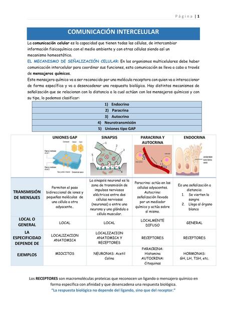 Resúmenes de Comunicación intercelular | Descarga apuntes de ...