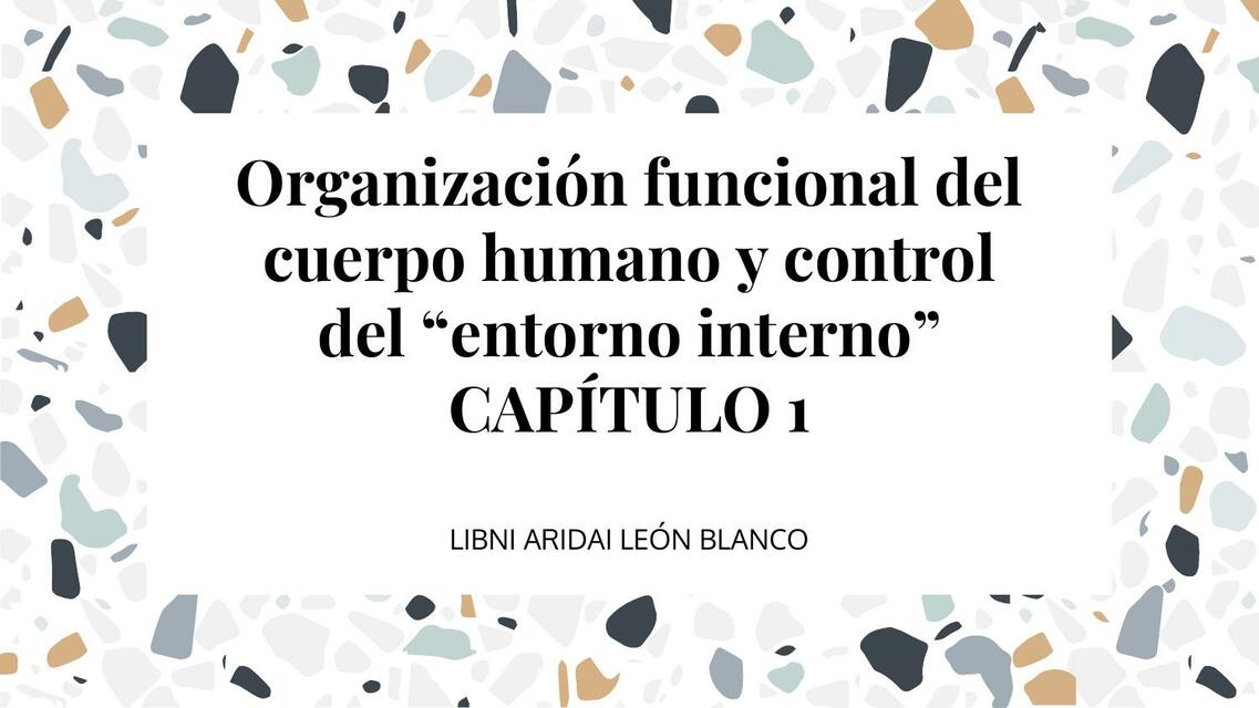 Organización Funcional del Cuerpo Humano y Control del "Entorno Interno" | Libni Aridai León B ...
