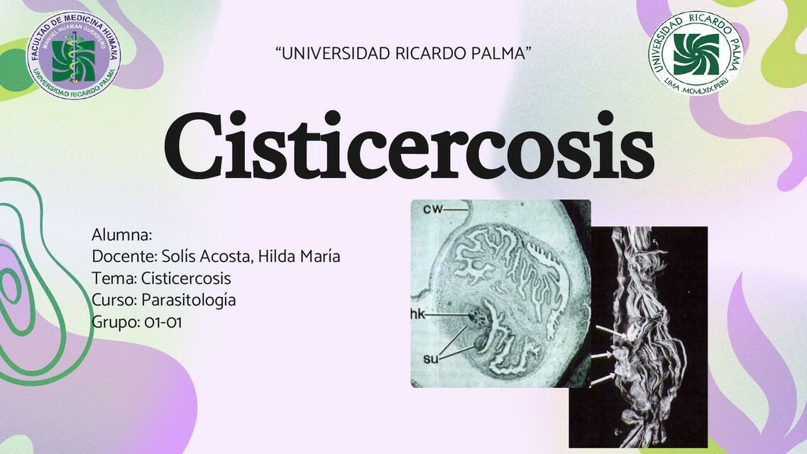 Cisticercosis | Sofia Perez | uDocz