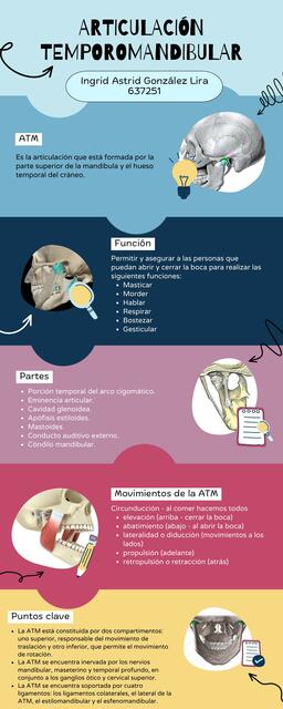 Articulación temporomandibular | Astrid | uDocz