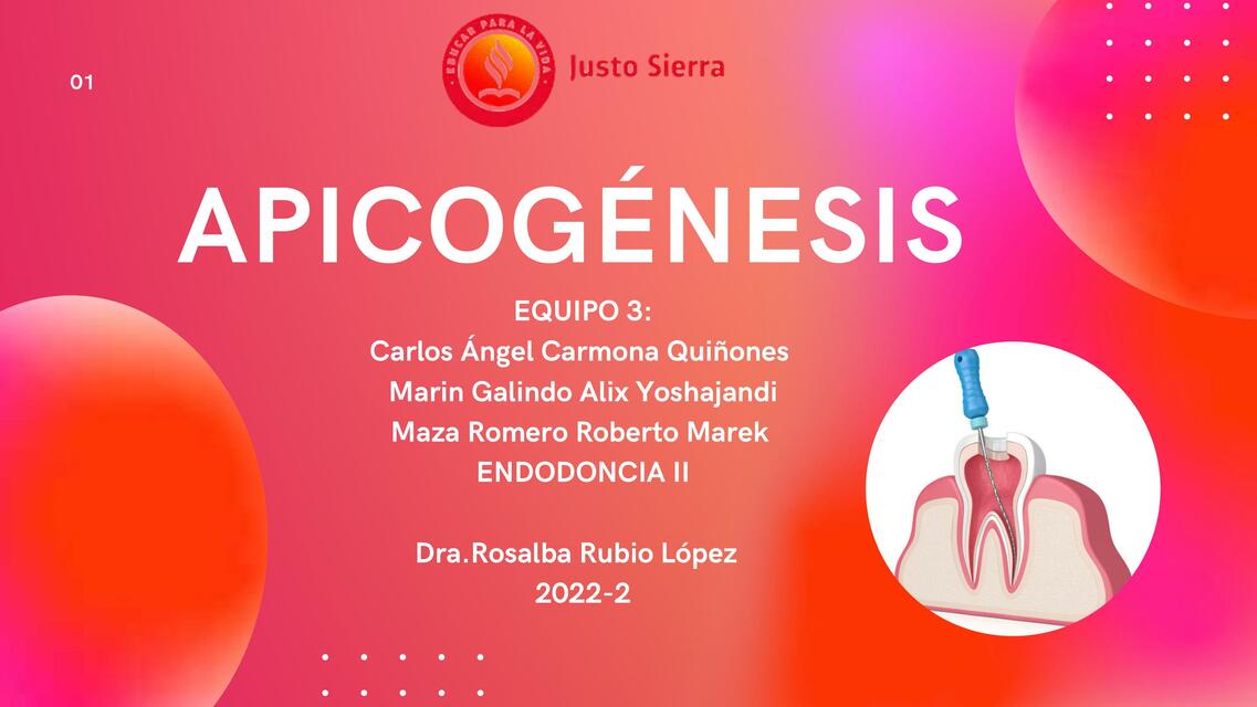 Apicogénesis | alyne morquecho | uDocz