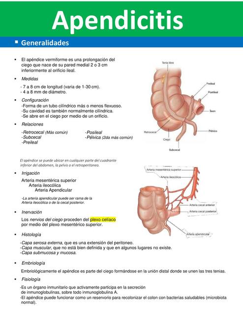 Apendicitis | xinita lopez | uDocz