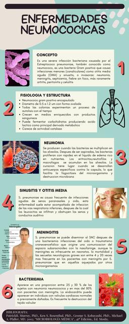 Enfermedades Neumocócicas | Daniela Alexandra. | uDocz