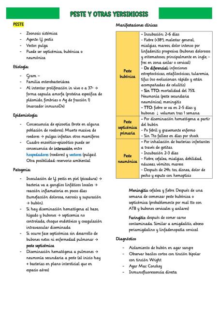 Peste y Leptospirosis | JOSE ENRIQUE SEGURA LOZANO | uDocz