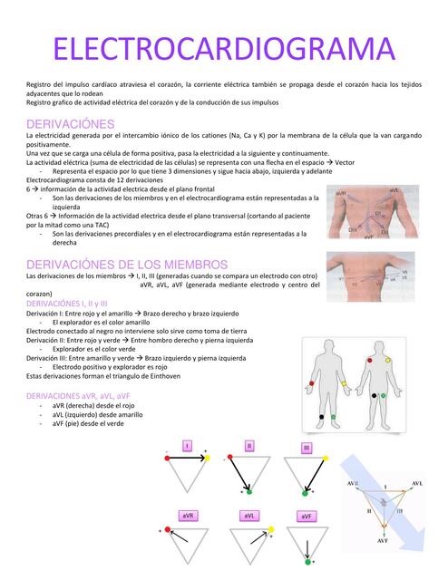 Electrocardiograma | Raven | uDocz
