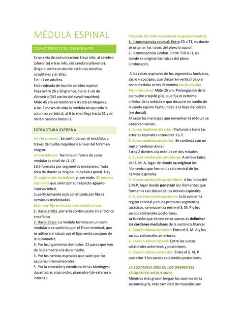 RESUMEN MÉDULA ESPINAL | Constanza Leiva | uDocz RESUMEN MÉDULA ESPINAL | Constanza Leiva | uDocz