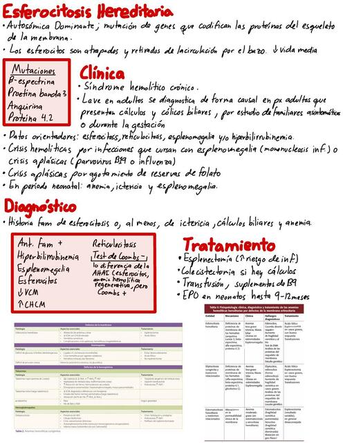 Esferocitosis Hereditaria | Maripaz | uDocz