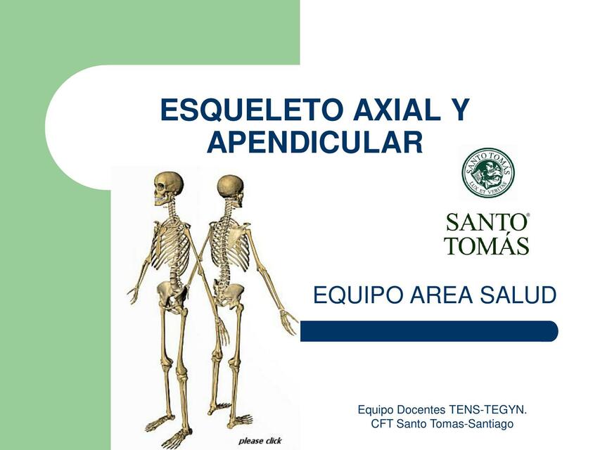 Esqueleto axial y apendicular | TextosMedicina | uDocz