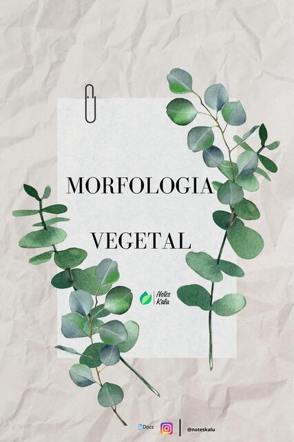 Portada de Morfologia Vegetal | Notes Kalu | uDocz