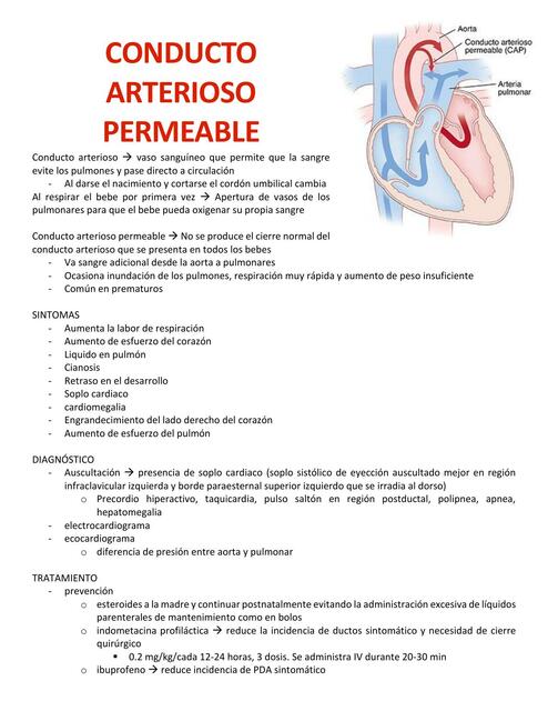 Conducto Arterioso Permeable | Raven | uDocz
