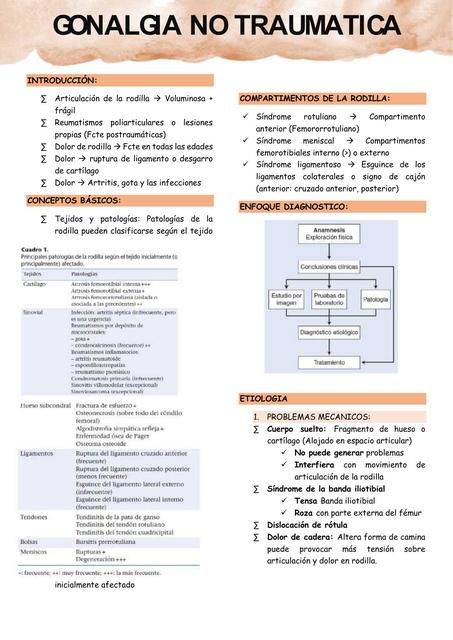 GONALGIA NO TRAUMATICA | CHUQUIMEDIC | uDocz