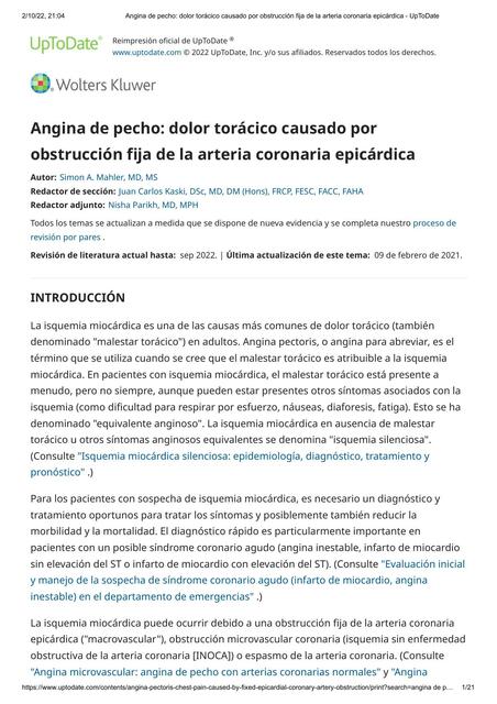 Angina de pecho dolor torácico causado por obstrucción fija de la ...