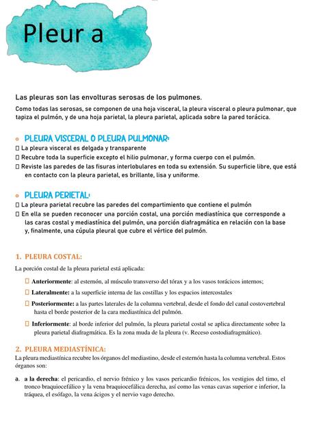 Pleura Resumen | Docsity | uDocz