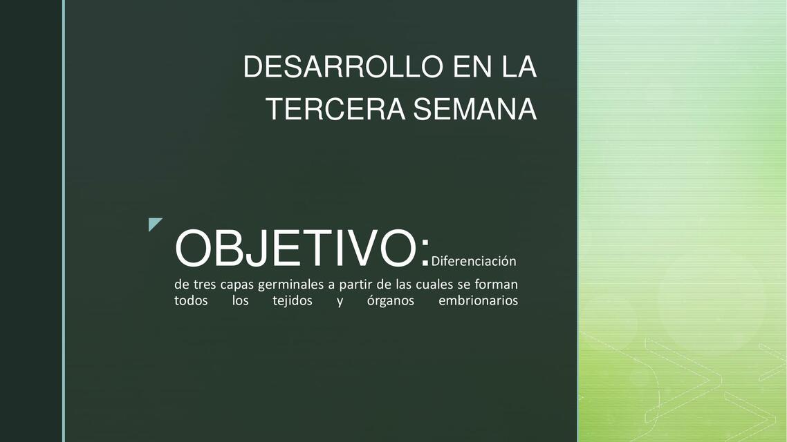 Desarrollo en la Tercera Semana | JUANA CORREA CERINO | uDocz