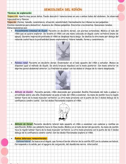 Semiología del Riñón | Sofia Jiménez | uDocz