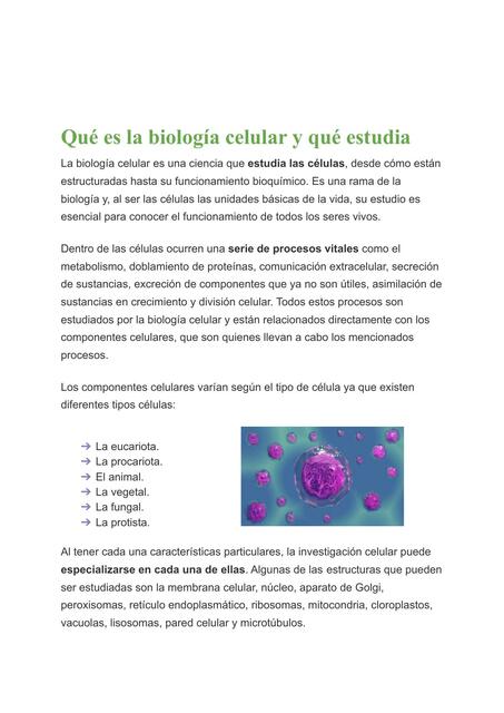Biología celular y molecular | Ángeles Dopico | uDocz