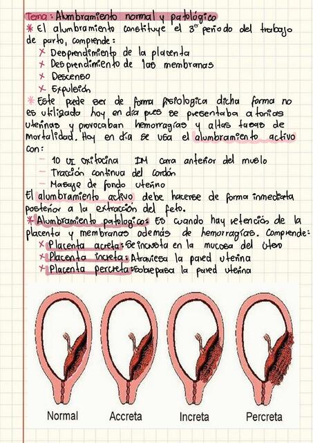 Alumbramiento normal y Patológico | Valentina Lopez | uDocz