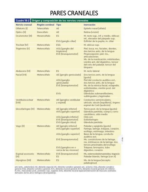 Pares Craneales | Alma de Jesus Villalobos Rios | uDocz