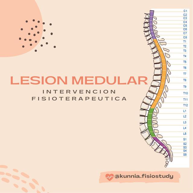 Lesión Medular | KUNNIAFISIOSTUDY | uDocz