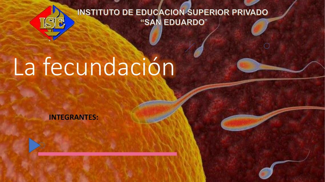 Planificación Familiar | Katty Ferrer | uDocz