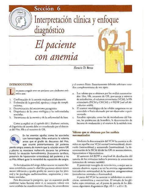 El Paciente con Anemia | TU ANGEL | uDocz