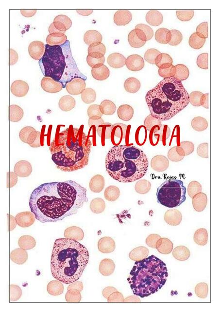 Resumen de Hematología | MARIA ROJAS | uDocz
