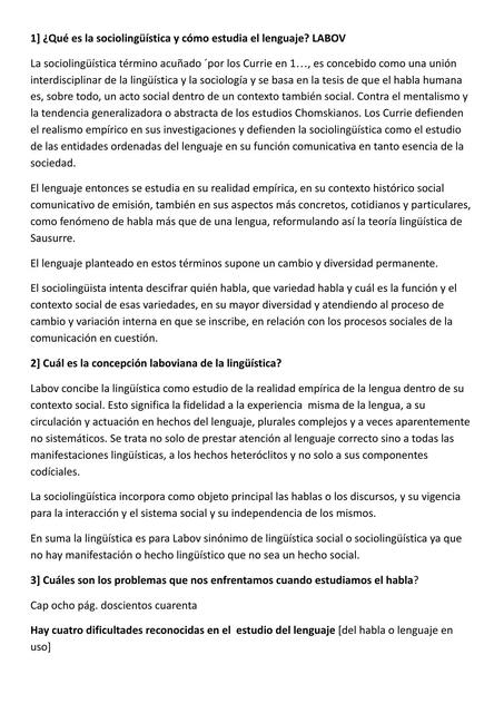 ¿Qué es la sociolingüística y cómo estudia el lenguaje? | Ángeles Dopico | uDocz