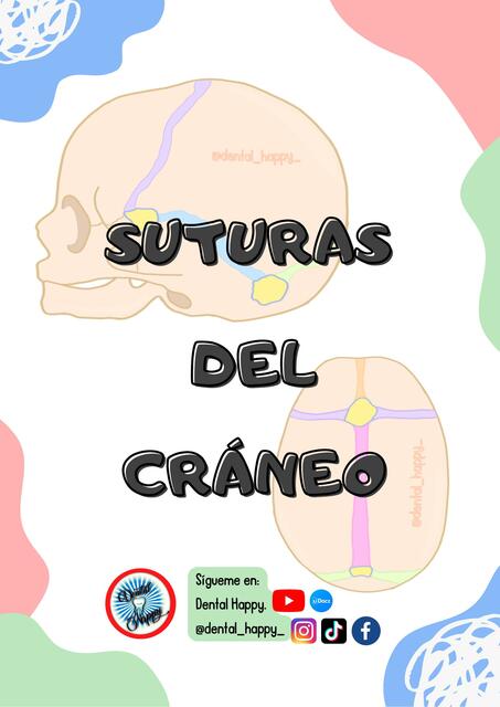 Suturas del cráneo | Alan Díaz | uDocz