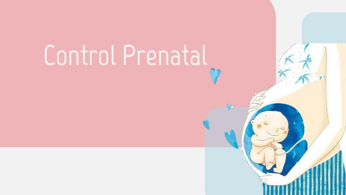 Control prenatal | META | uDocz
