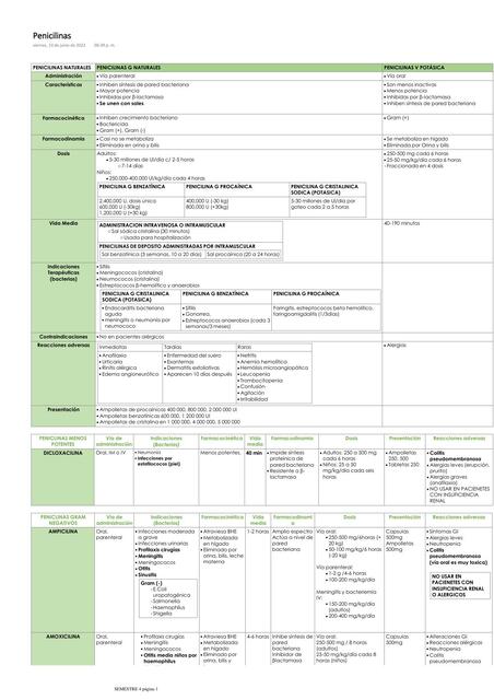 Penicilinas | Julr | uDocz