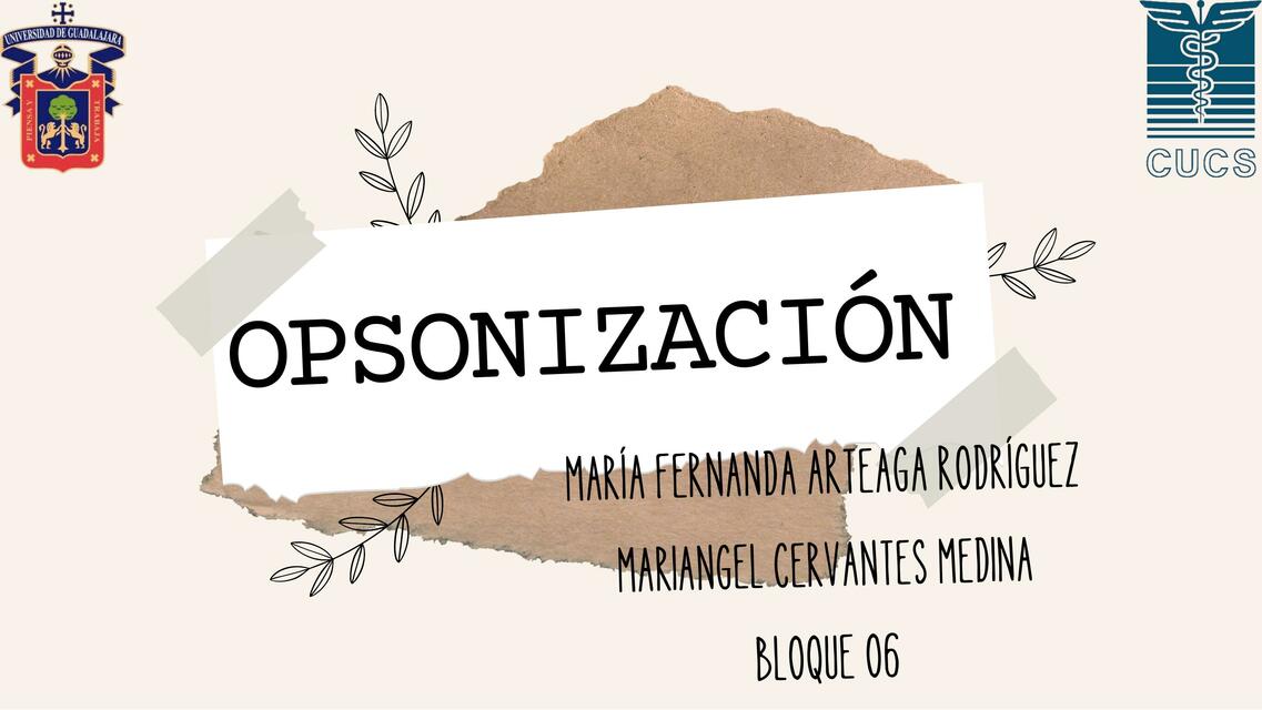 Opsonización | MARIA ARTEAGA | uDocz