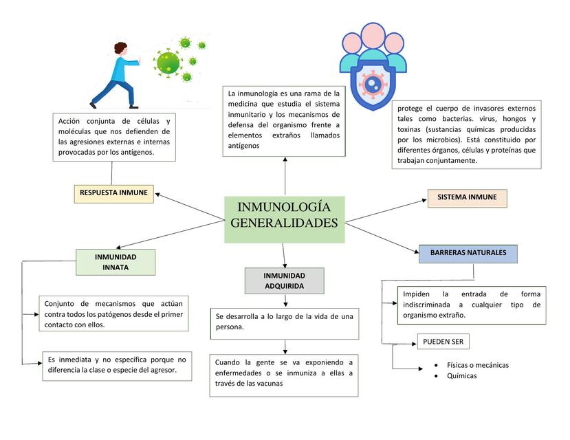 Inmunología generalidades | MARIA CLAUDIA ATO MIÑAN | uDocz