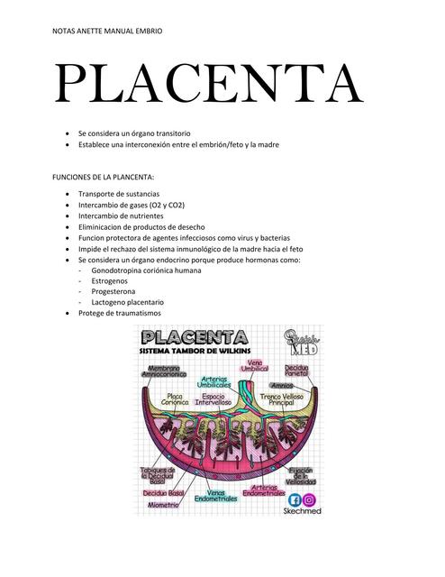 PLACENTA | Anette Tristan | uDocz