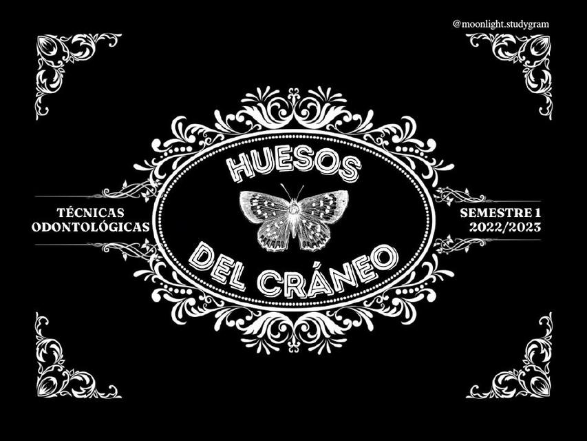 Huesos Del Cráneo Moonlight Studygram Udocz