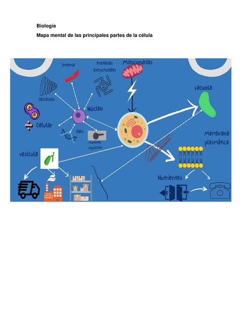 Mapa Mental -Partes de la Célula
